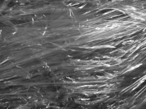 El celuloide - Clickmica