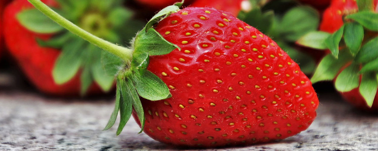 Identifican una nueva proteína que controla la producción del color ...